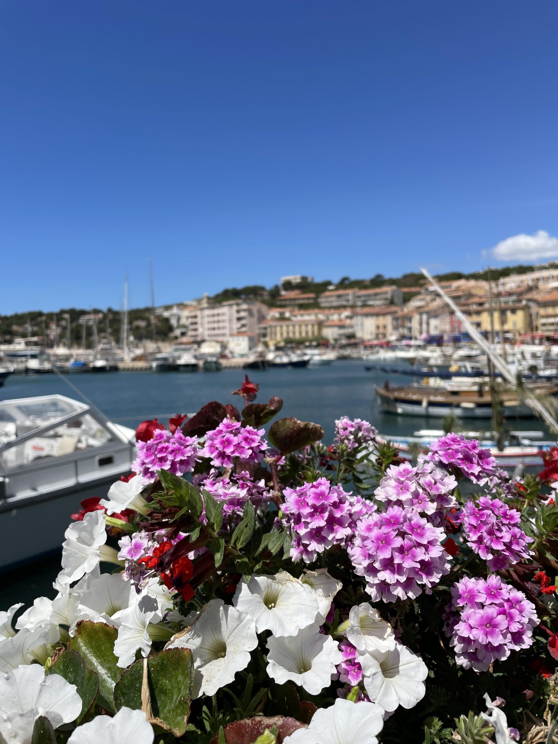 Que faire à Cassis ? Mes 7 activités incontournables à faire